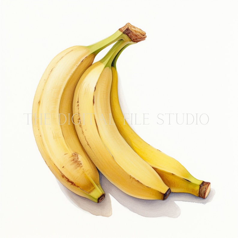 12 Watercolor Bananas Clipart PNGJPGPDF Digital Images Graphics ...