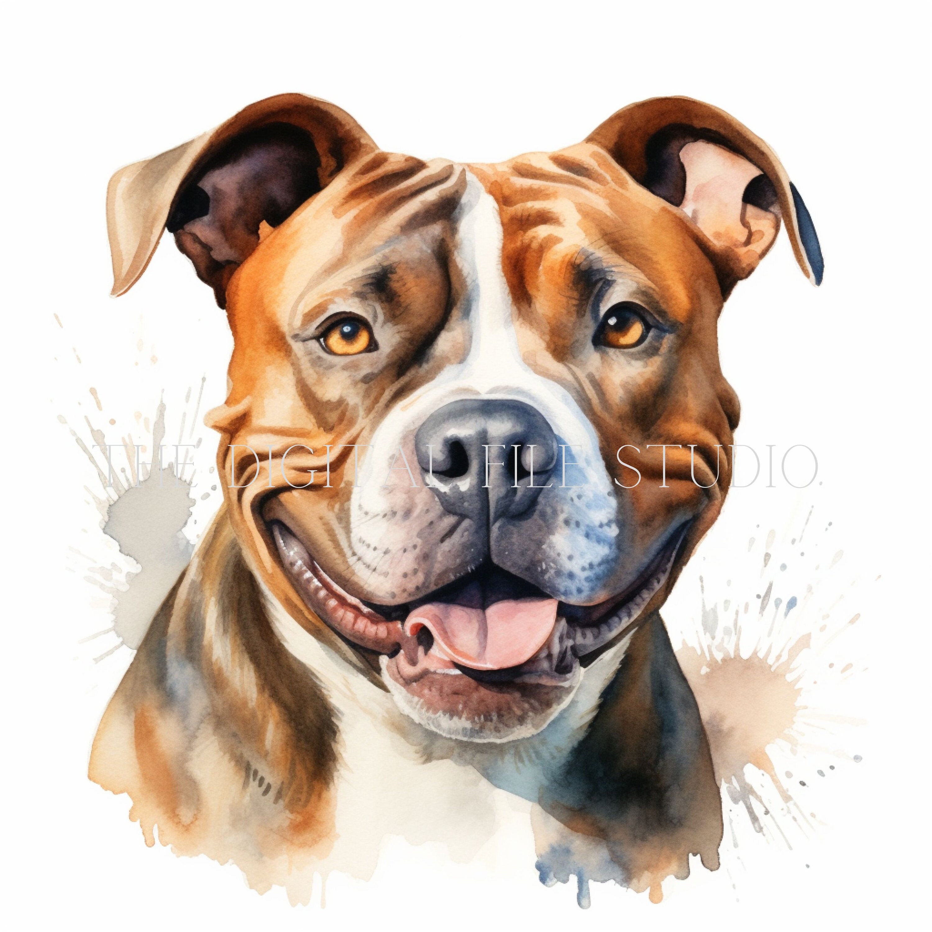 12 High-quality American Bully PNG JPG PDF Dog Clipart Watercolor Card ...