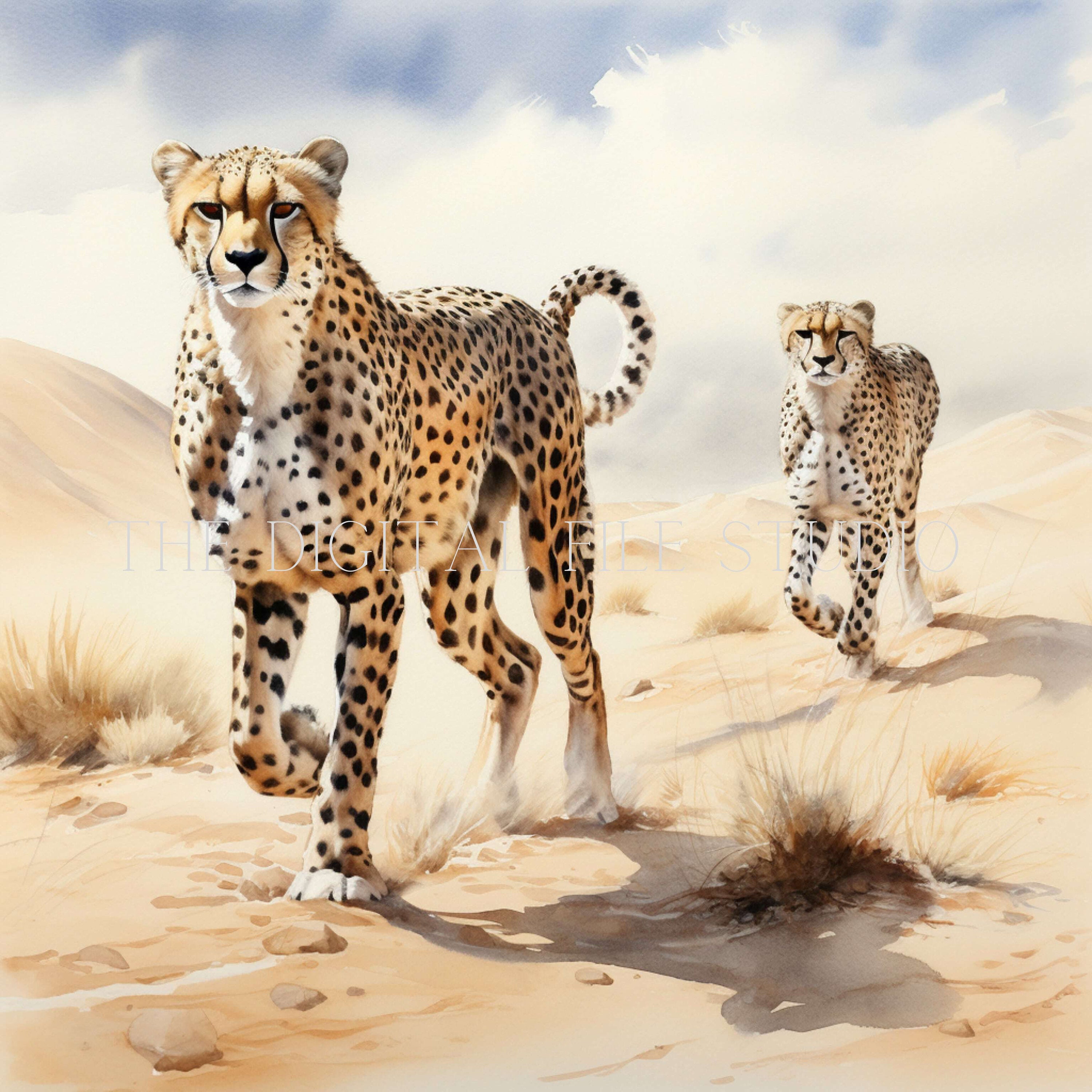 10 Cheetah PNGJPGPDF Clipart Digital Download Animal Images Wildlife ...