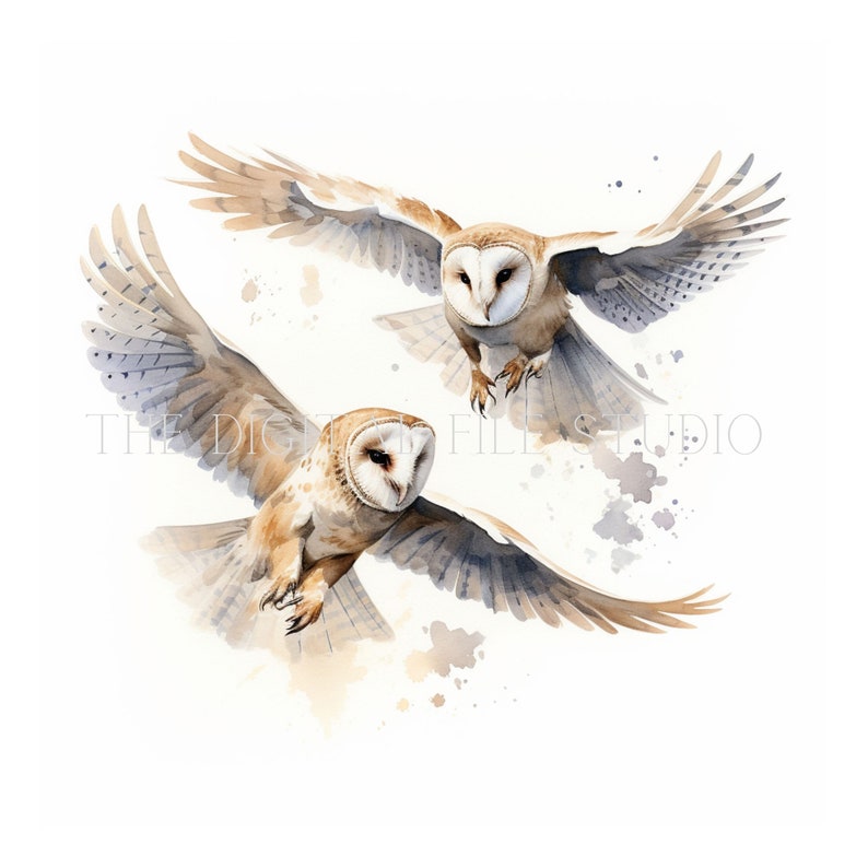 Barn Owl Clipart PNG Nature's Silent Night Hunter Clipart 24 Digital Download Bird Images Owl ...