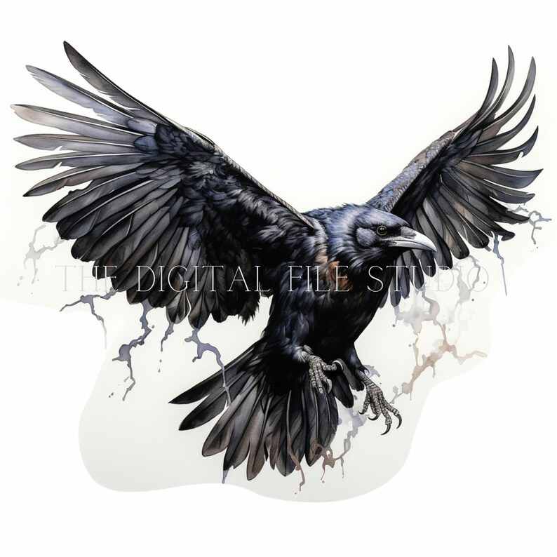 12 Crow PNGJPGPDF Clipart 12 Digital Download Animal Images Animal Art ...