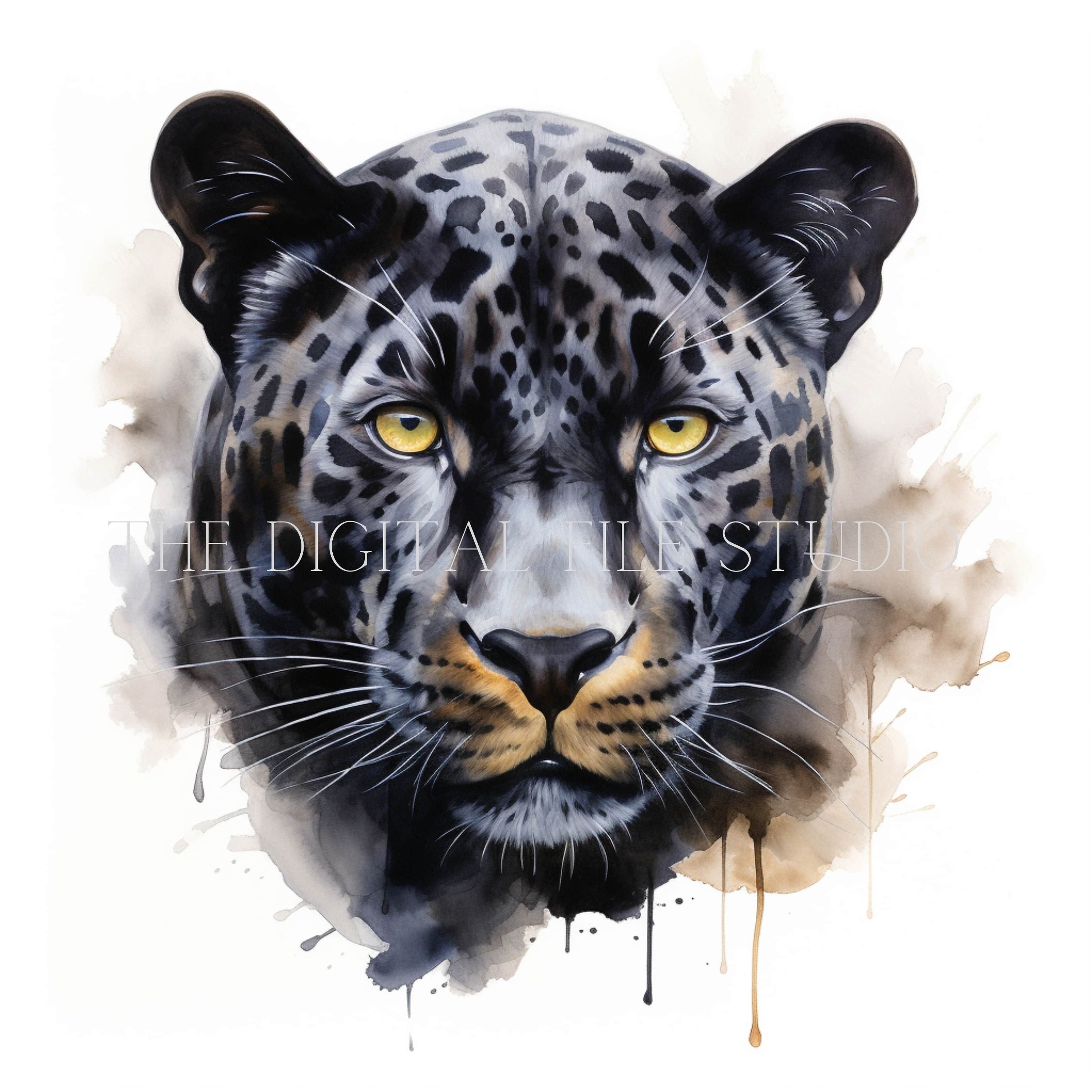 Black Leopard Clipart Tribute to Nature's Elusive Beauty 12 Digital ...