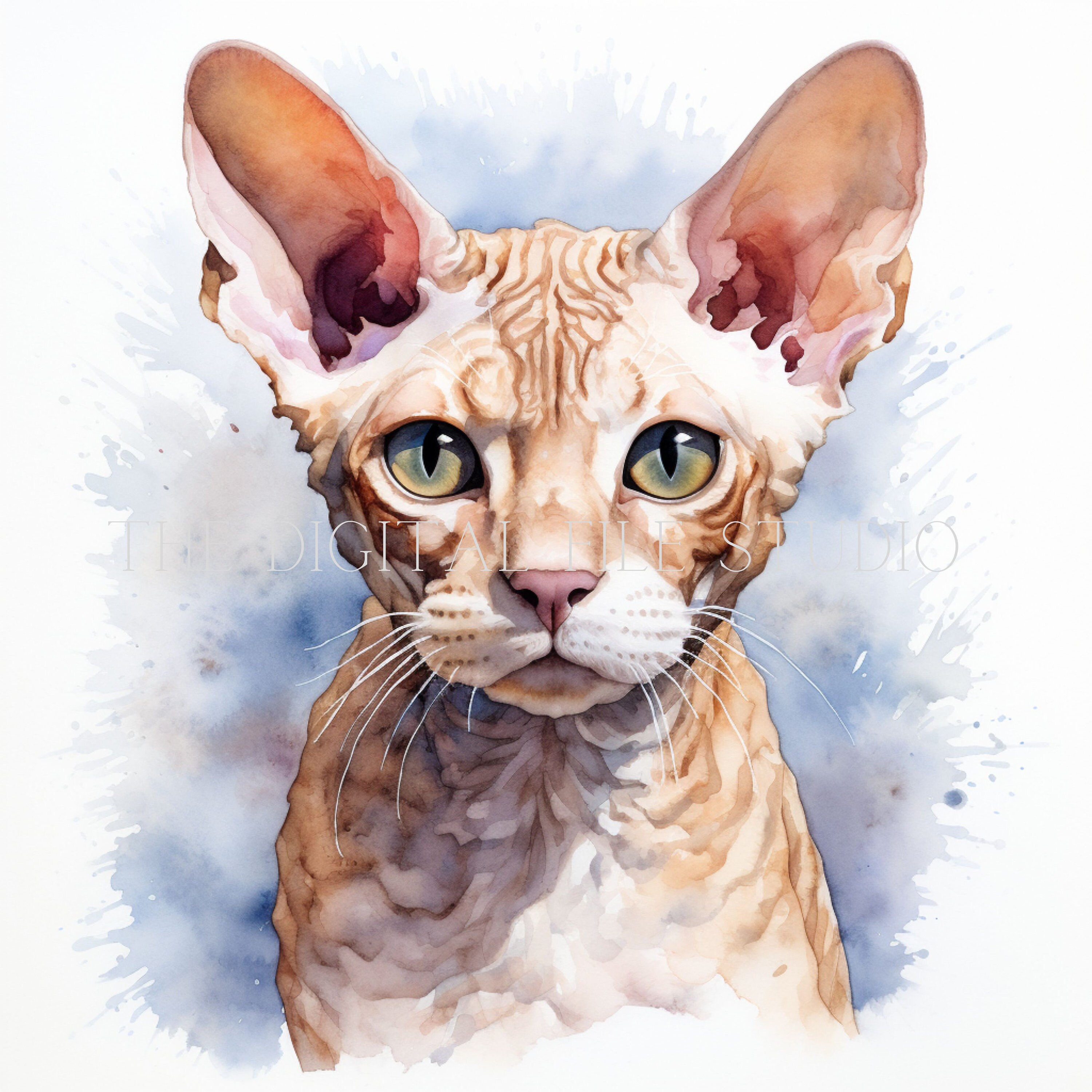 12 High-quality Devon Rex Cat PNG JPG PDF Cat Clipart Watercolor Card ...