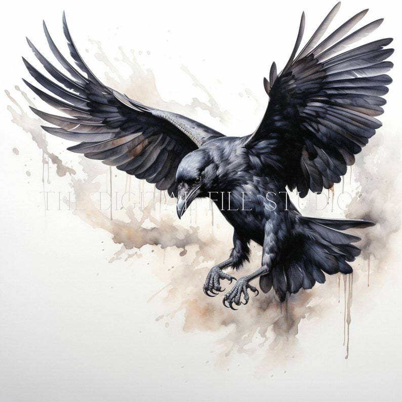 12 Crow PNGJPGPDF Clipart 12 Digital Download Animal Images Animal Art ...