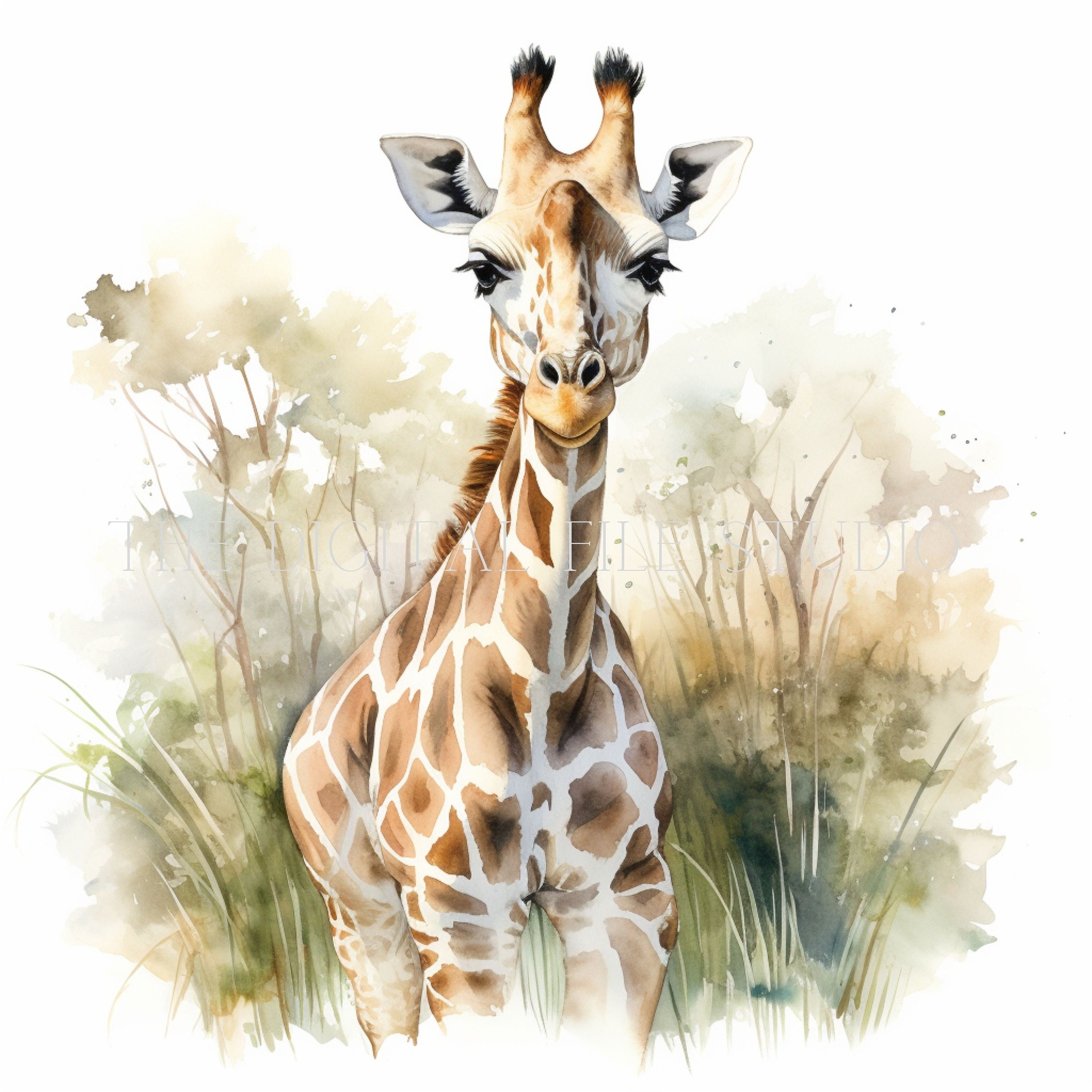 Giraffe Clipart Tribute to Africa's Giant 24 Digital Download Animal ...