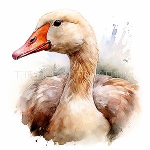 12 Goose PNGJPGPDF Clipart 12 Digital Download Animal Images Animal Art ...
