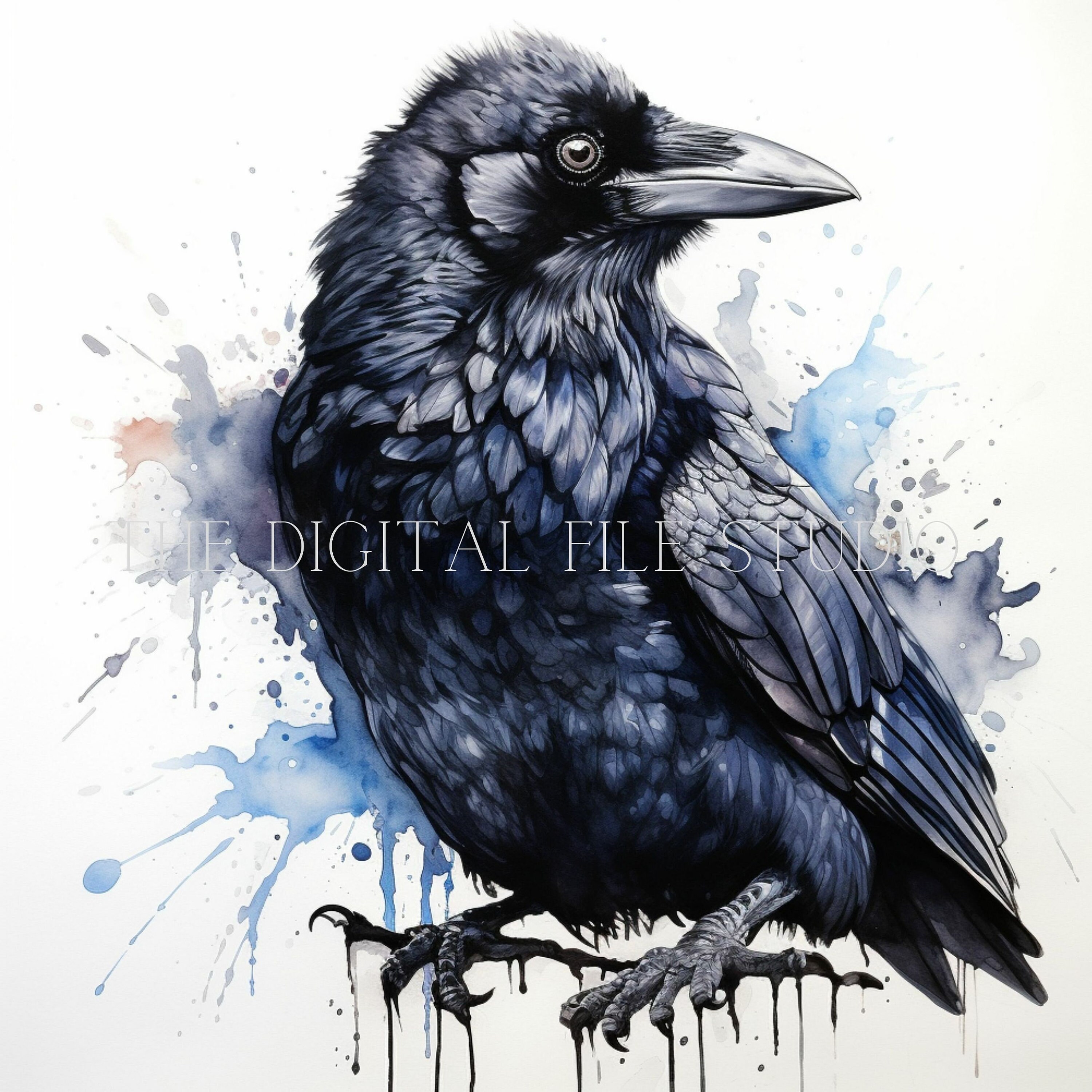 12 Crow PNGJPGPDF Clipart 12 Digital Download Animal Images Animal Art ...