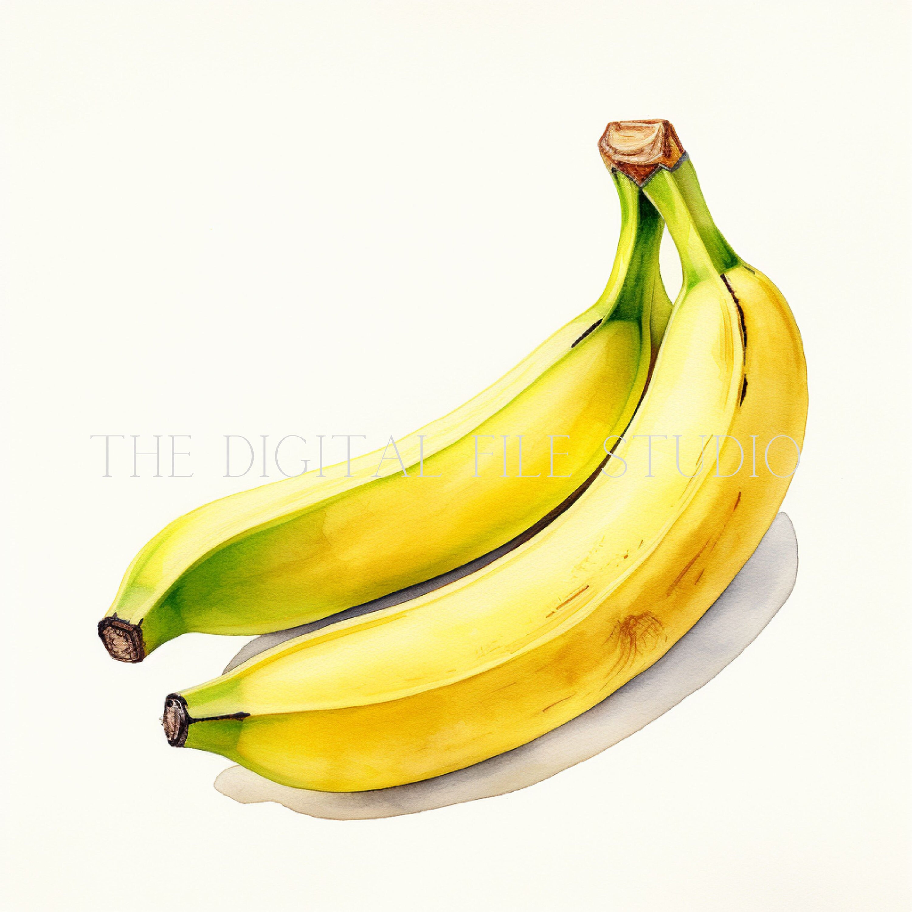 12 Watercolor Bananas Clipart PNGJPGPDF Digital Images Graphics ...