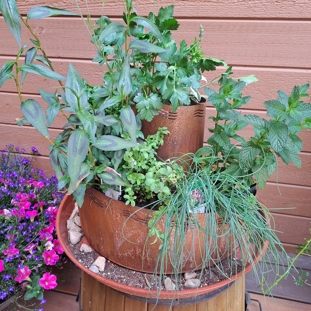 Herb Spiral Garden & Spiral Garden Planter the swirl Design Easily ...