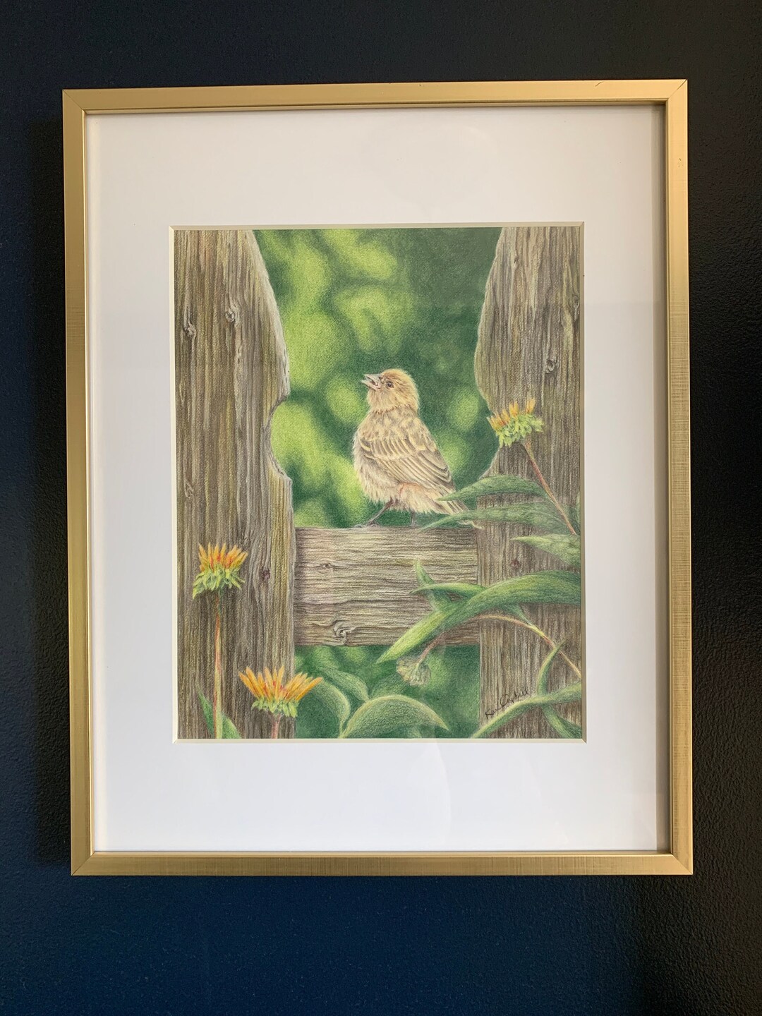 8x10 Spring Songbird on Garden Fence Original Drawing, Giclee Print ...
