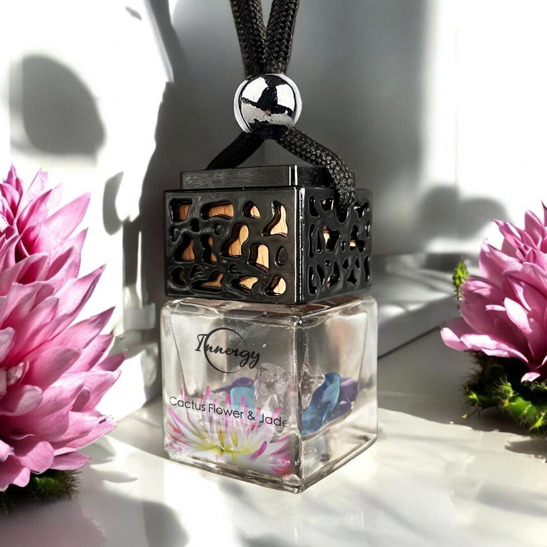 Cactus Flower & Jade Crystal-enhanced Essential Oil Diffuser, Hanging ...