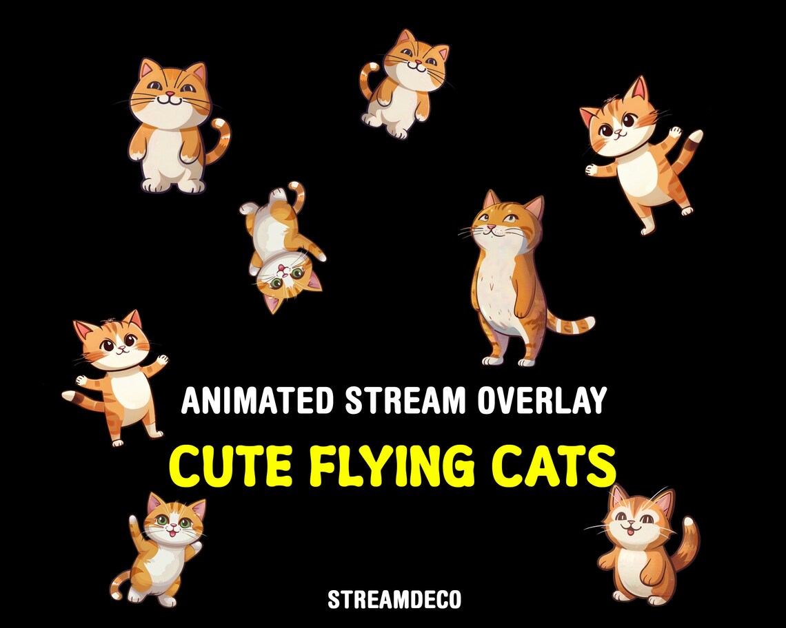 Animated Cats Twitch Alert, Kitten Stream Alert for Streamlabs OBS ...