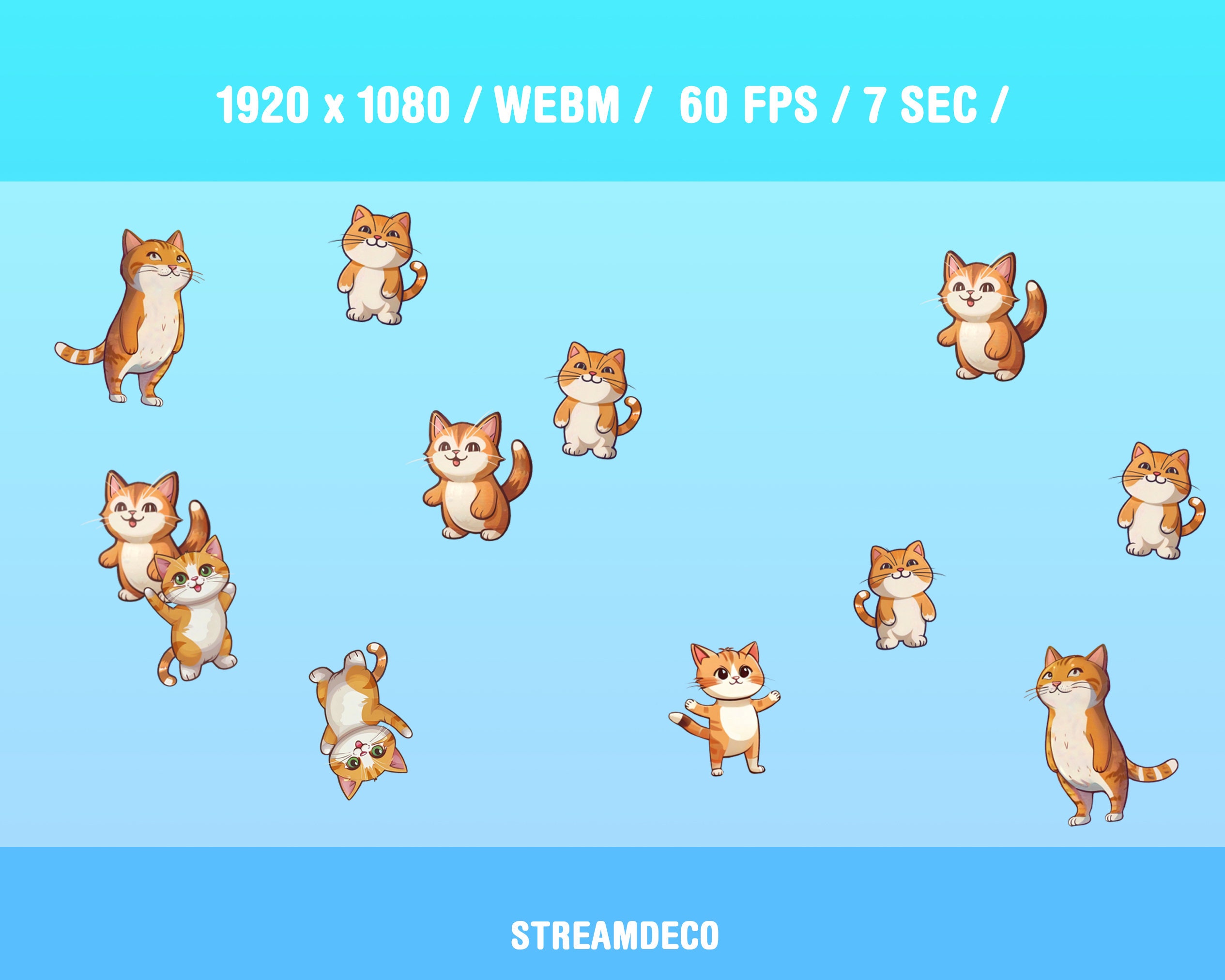 Animated Cats Twitch Alert, Kitten Stream Alert for Streamlabs OBS ...
