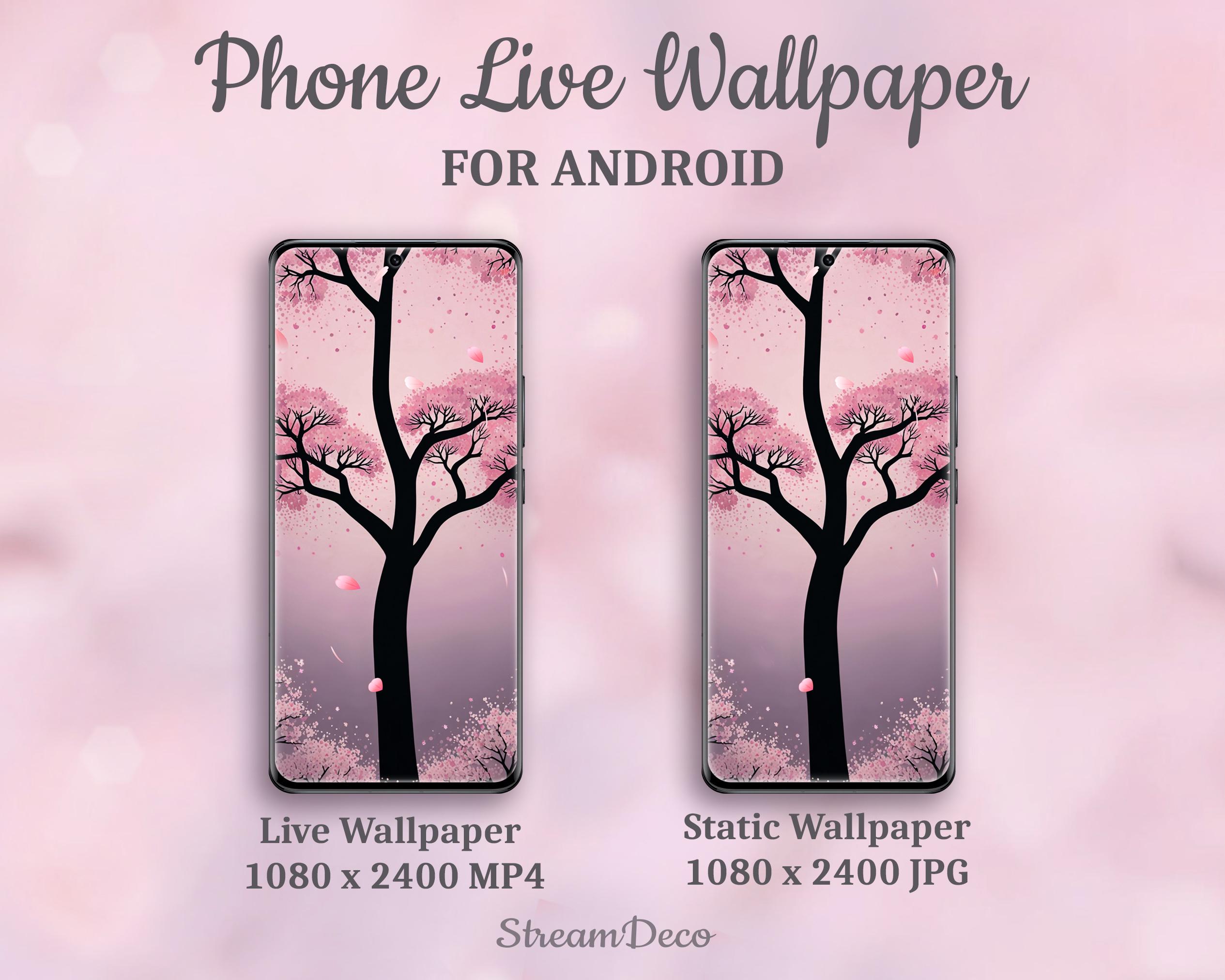 Live Wallpaper Cherry Blossom Tree, Animated Background, Dynamic Mobile ...