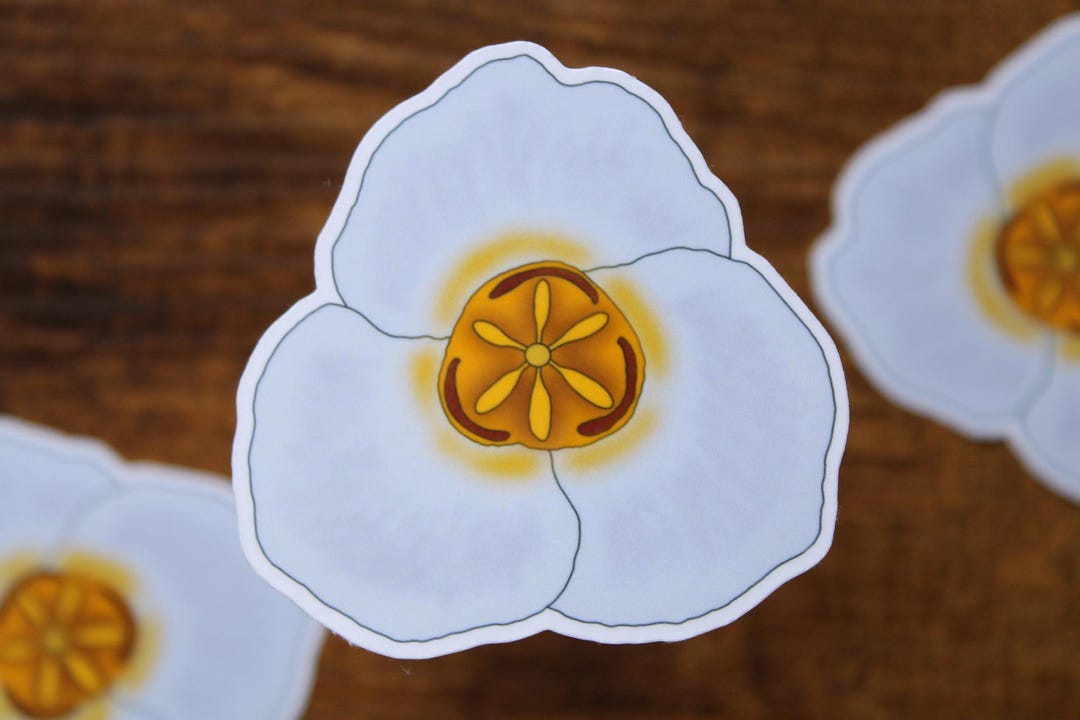 Utah State Flower - Sego Lily - Etsy