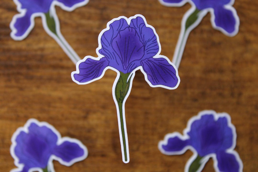 Tennessee State Flower - Iris - Etsy