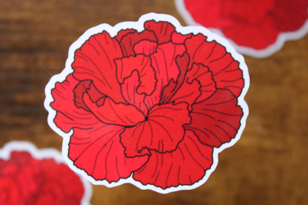 Ohio State Flower - Red Carnation - Etsy