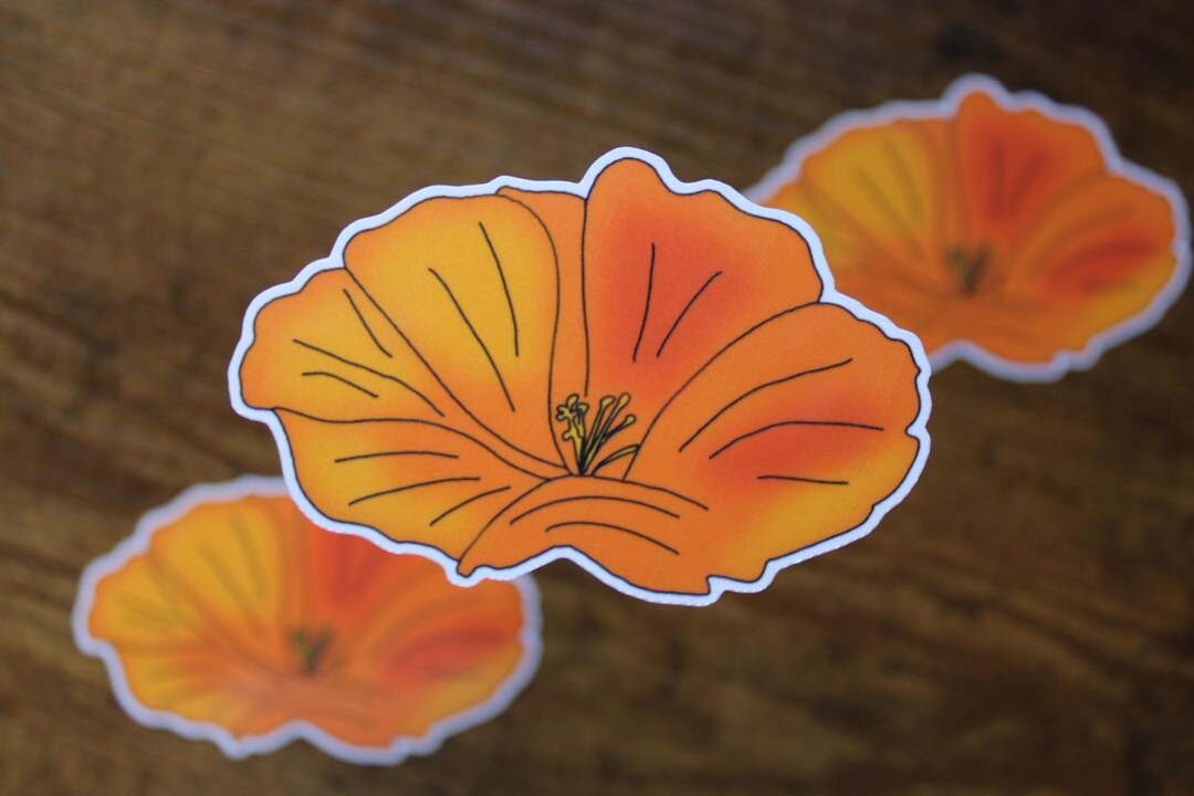 California State Flower - Poppy - Etsy