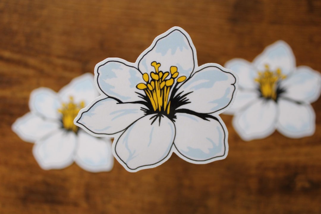 Florida State Flower - Orange Blossom - Etsy