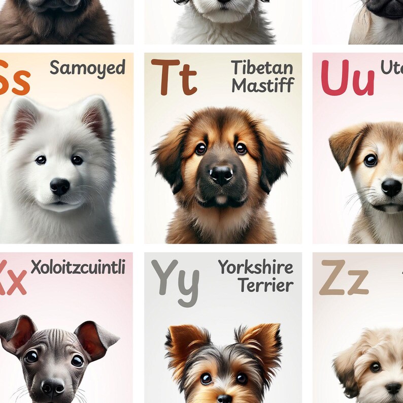 Dog Breed Alphabet Poster: A-Z Nursery Wall Art (unframed) - Etsy