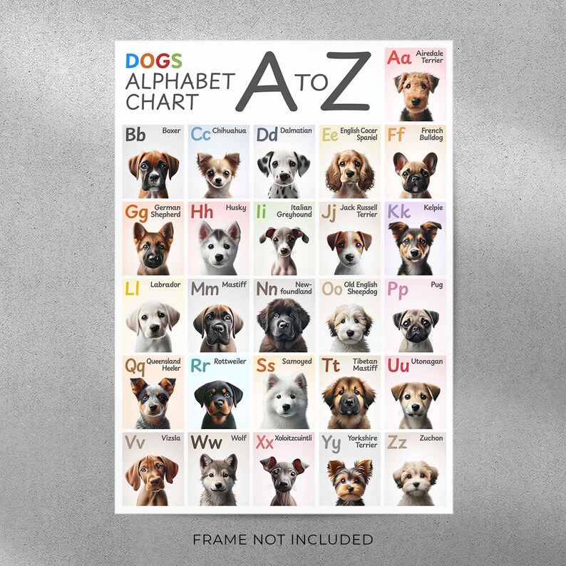 Dog Breed Alphabet Poster: A-Z Nursery Wall Art (unframed) - Etsy