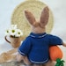 Plush Toy Peter Rabbit With Carrot, Peter Rabbit Shower, Adorable ...