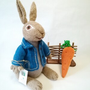 Plush Toy Peter Rabbit With Carrot, Peter Rabbit Shower, Adorable ...