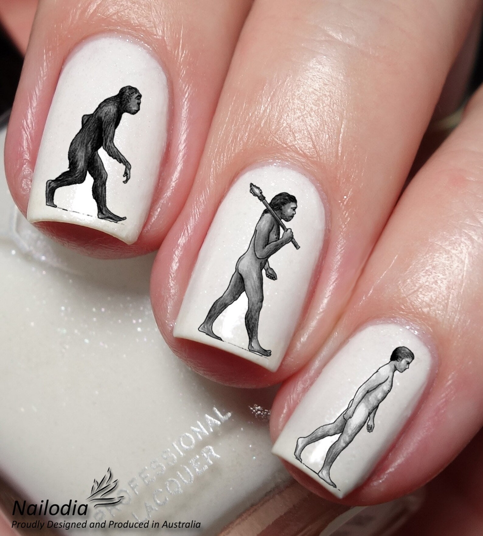 Human Evolution Nail Art Decal Sticker - Etsy