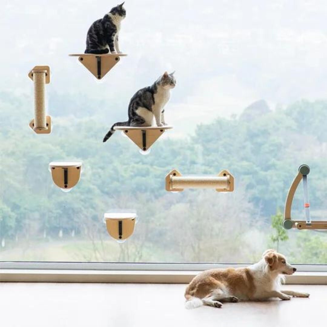 Cat Window Perch Cat Climbing Frame Cat Climbing Steps Cat - Etsy