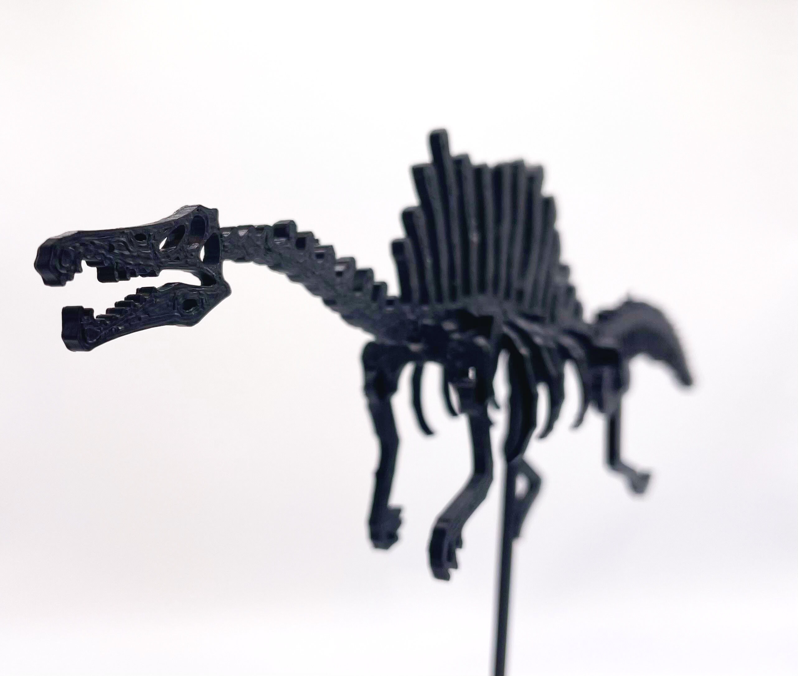 Spinosaurus Kit Card - Etsy