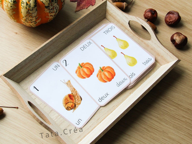 Number/digit Card 1-20, Counting Card, Learn to Count, Fall ...