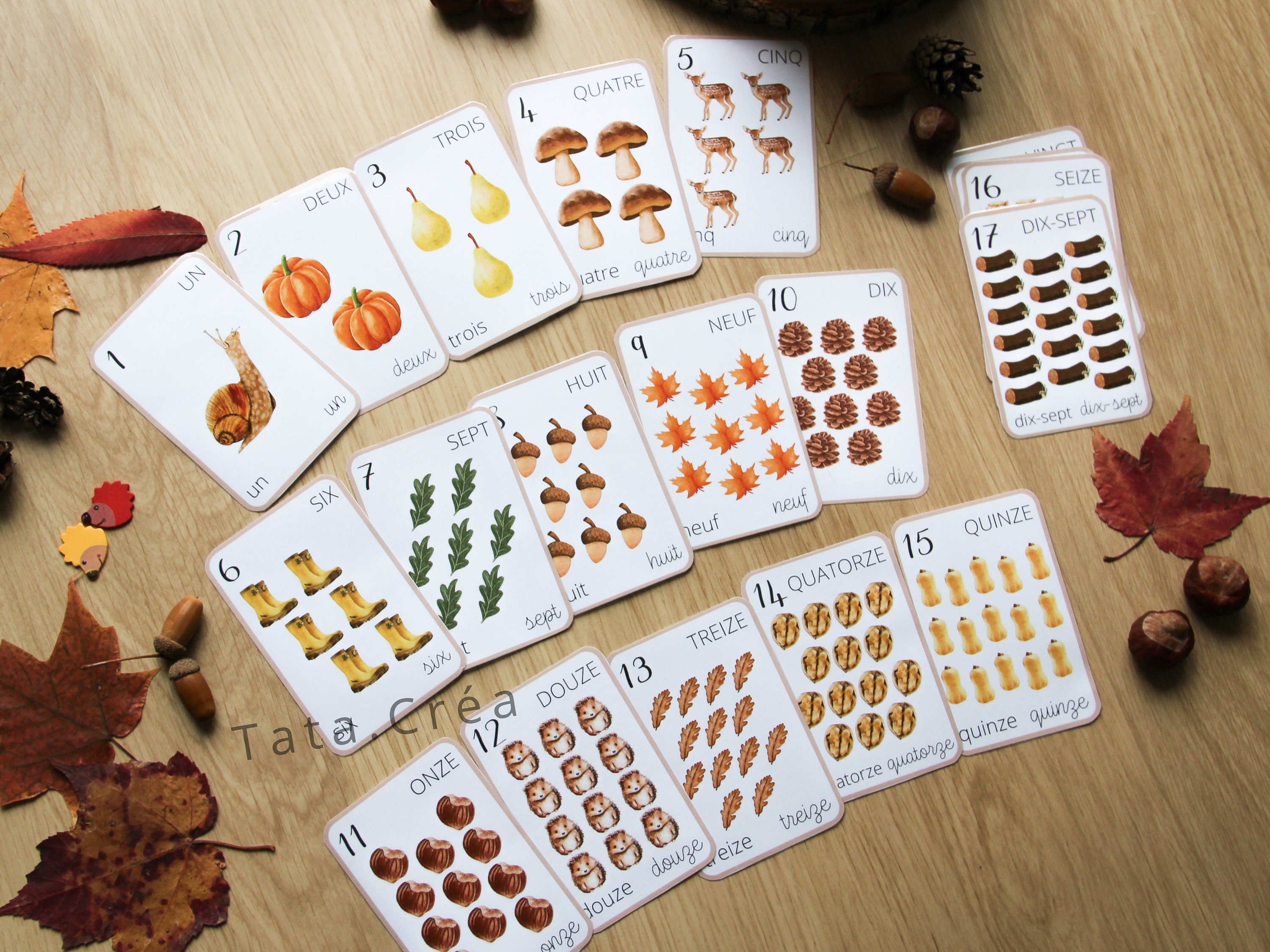 Number/digit Card 1-20, Counting Card, Learn to Count, Fall ...