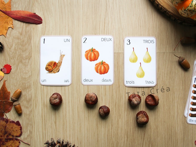 Number/digit Card 1-20, Counting Card, Learn to Count, Fall ...