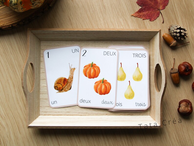 Numberdigit Card 1 20 Counting Card Learn To Count Fall