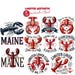 Watercolor Lobster Aesthetic PNG Clipart Sublimation. Coquette Coastal ...