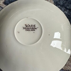 Beautiful Vintage Wade Floral Dinnerware Set 12 Piece China Plates ...