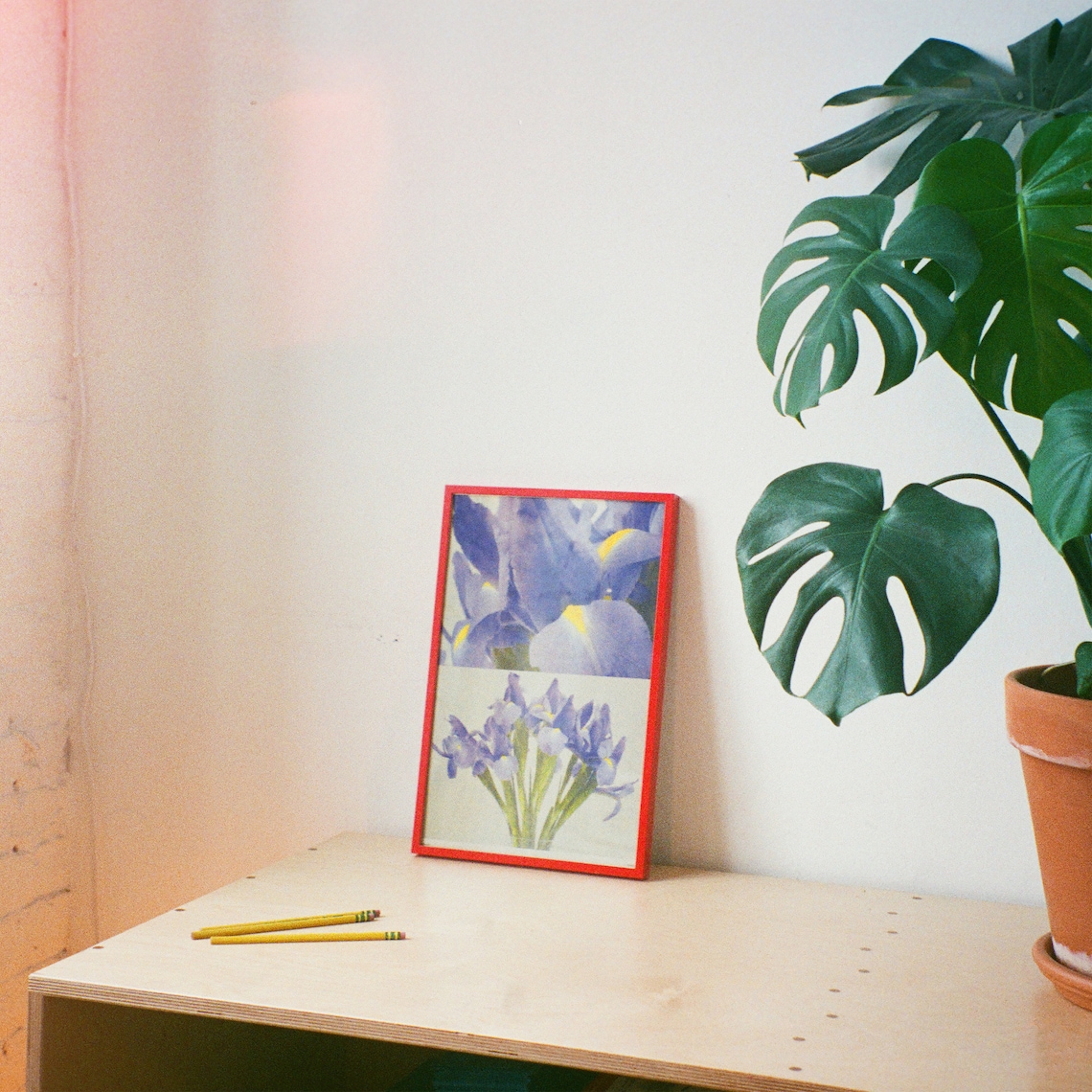 Iris Risograph Print - Etsy