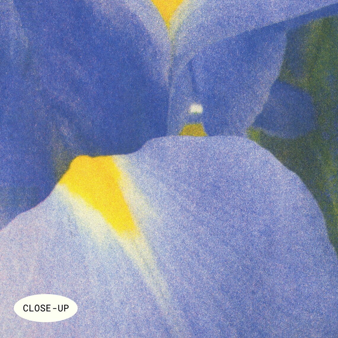 Iris Risograph Print - Etsy