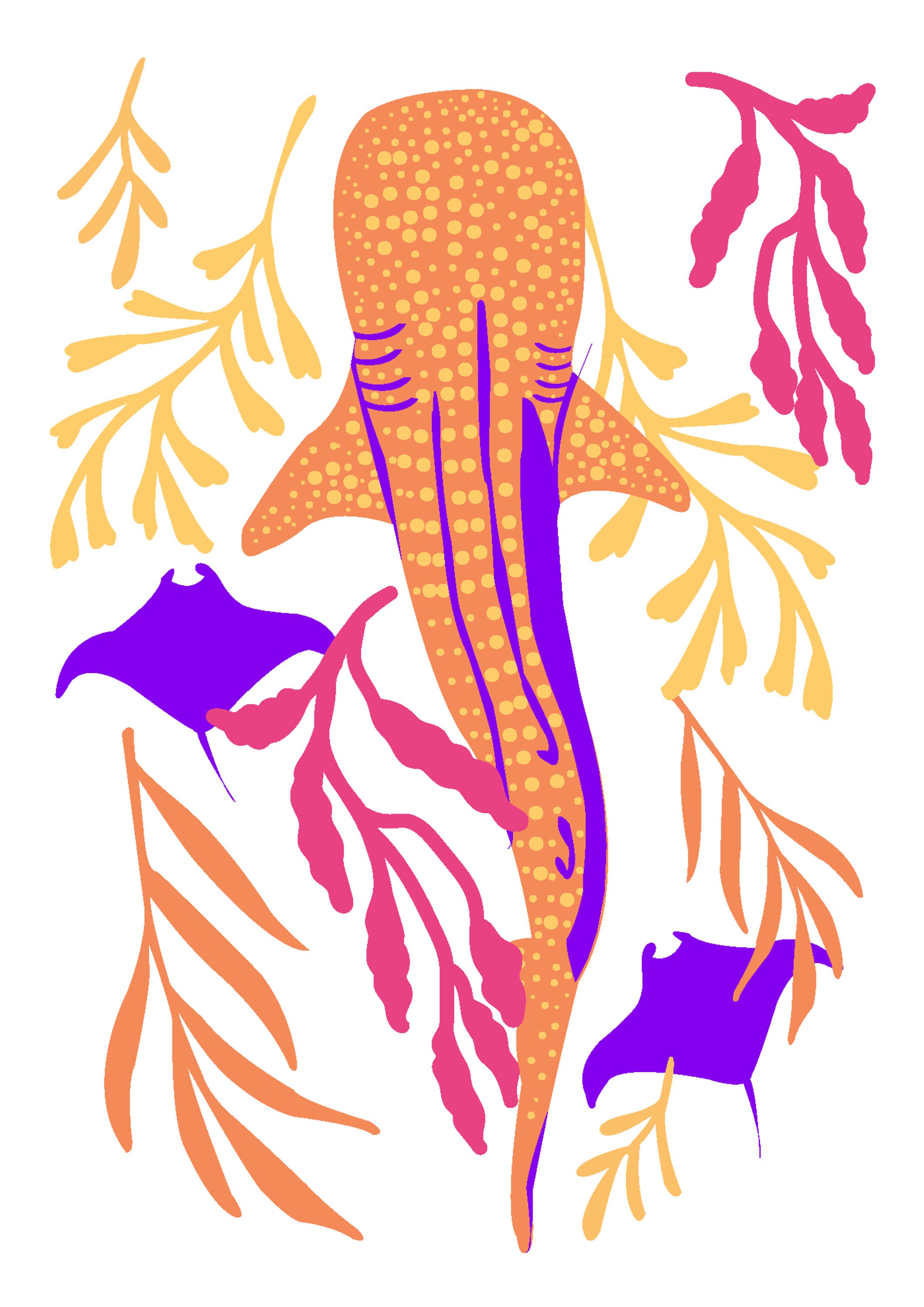 Whale Shark and Sting Ray Digital Prints 3 Options - Etsy