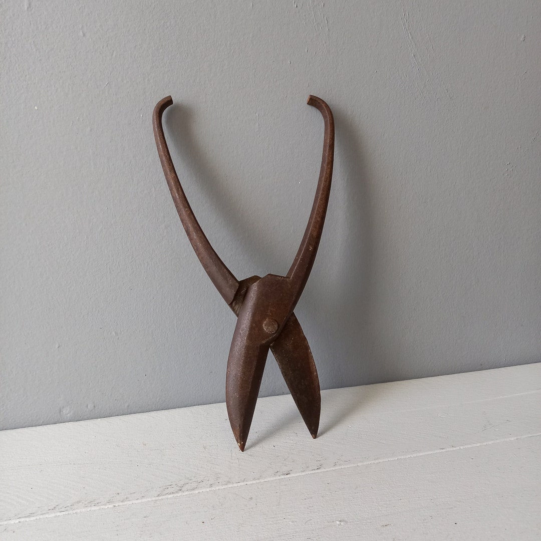 Small Cast Iron Shears, French Vintage Tools - Etsy