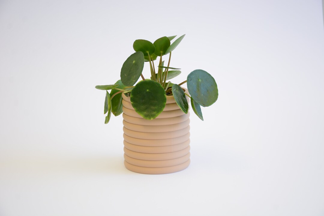 Indoor Plant Pot With Hidden Drip Tray - the Poppy, Various Colors and ...