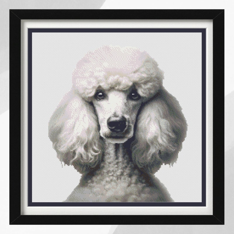 Poodle Cross Stitch - Etsy
