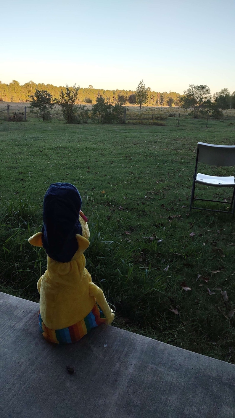 Wally Darling Welcome Home Puppet/muppet - Etsy