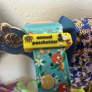 Annual Passholder Walt Disney World Magic Band Slider - Etsy