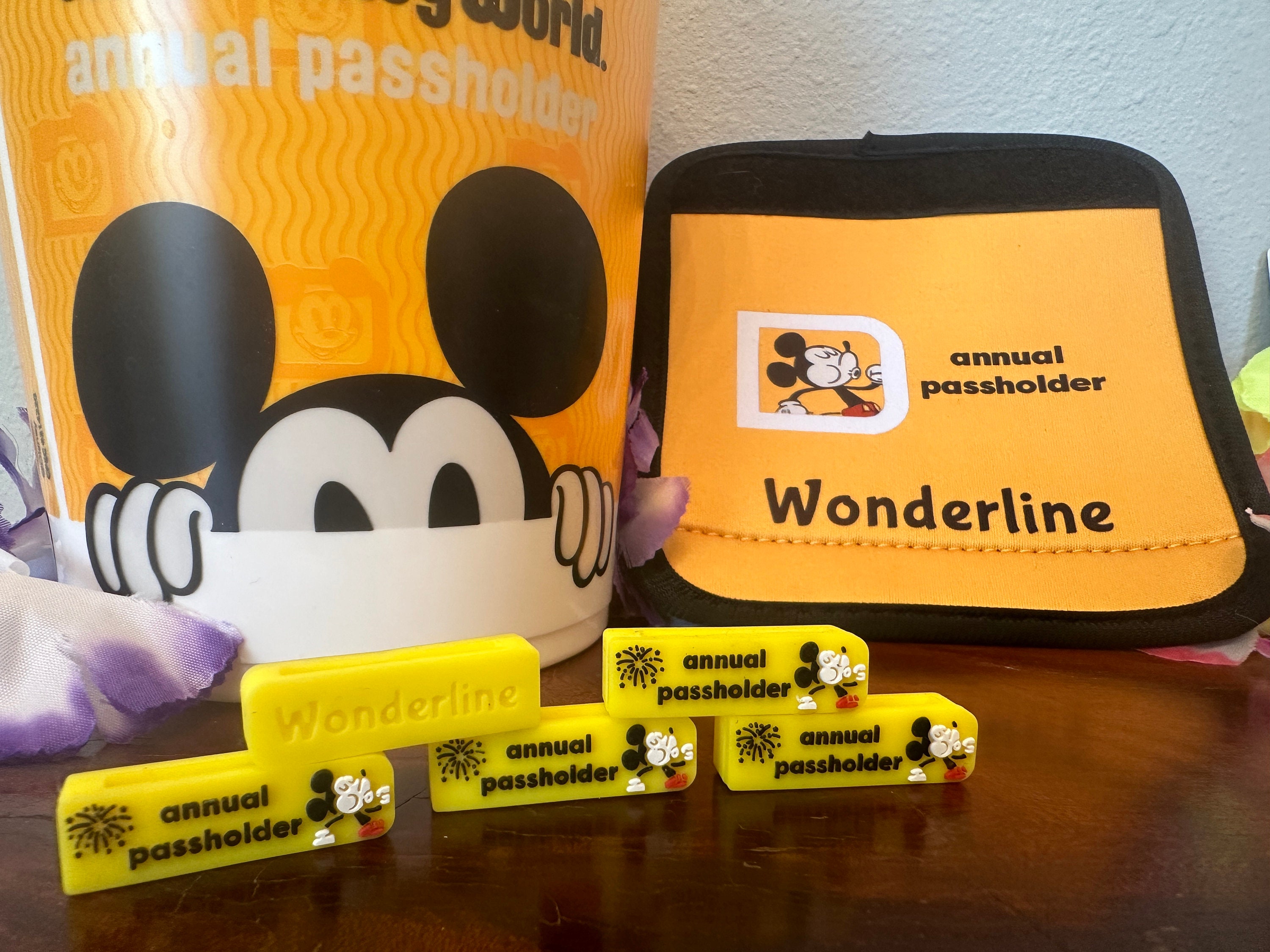 Annual Passholder Walt Disney World Magic Band Slider - Etsy
