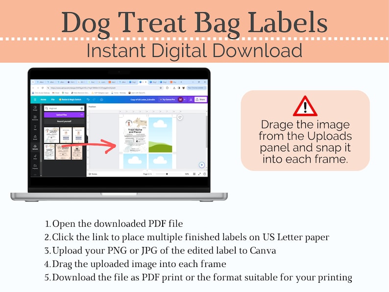 Editable Labels for Dog Treats, Pet Treats, Dog Snack Food Packaging ...