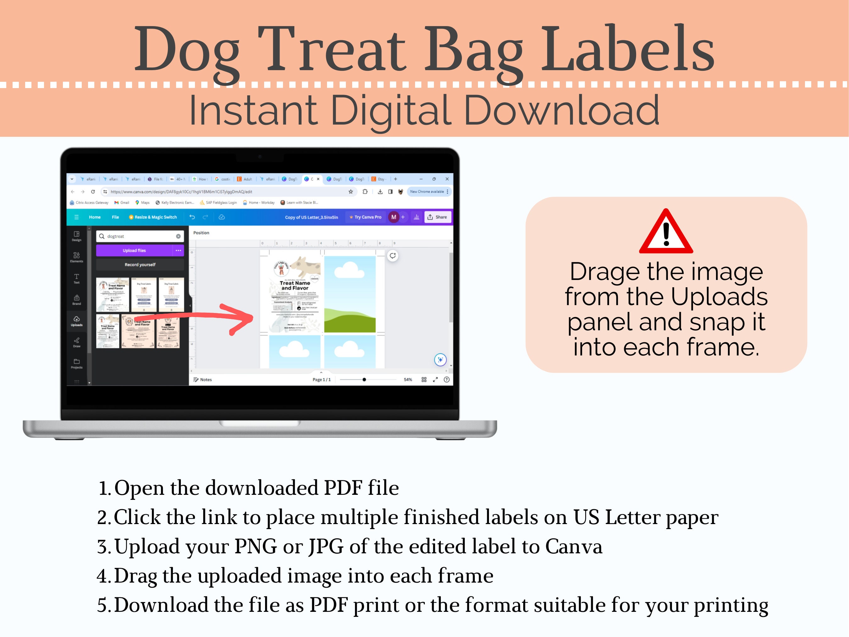 Editable Labels for Dog Treats, Pet Treats, Dog Snack Food Packaging ...