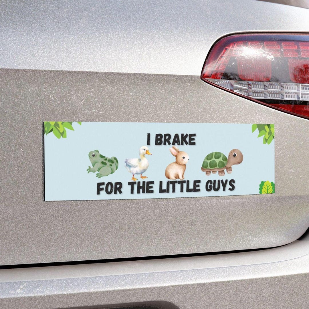 Cute Animal Car Magnet, I Brake for Little Guys Magnet, Funny Wildlife ...