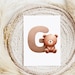 Teddy Bear Alphabet,letters Png, Alphabet Png,nursery Decor, Cute Bear ...