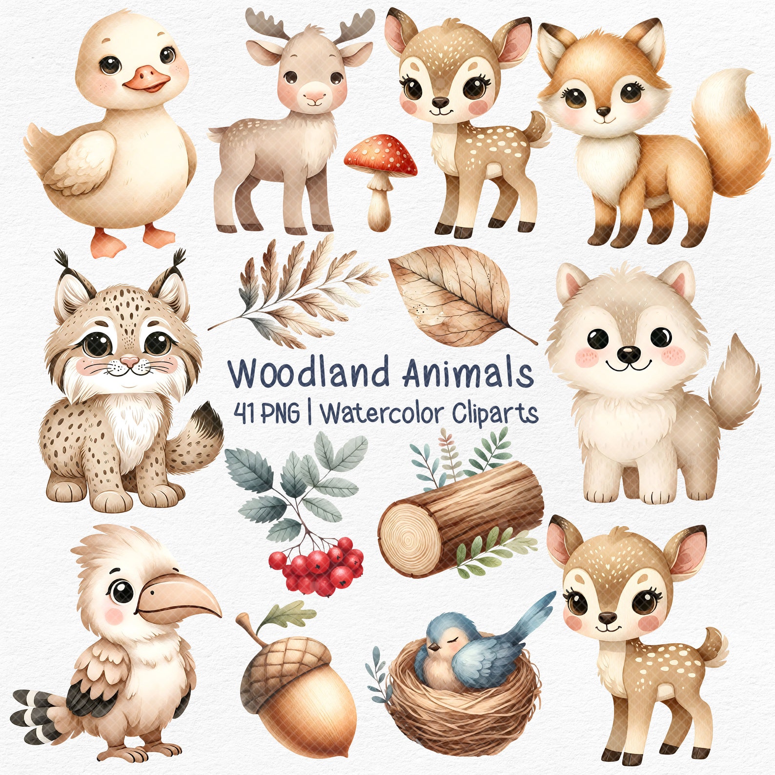 Woodland Animals Watercolor Clipart, Forest Animals Clipart,bear Owl ...